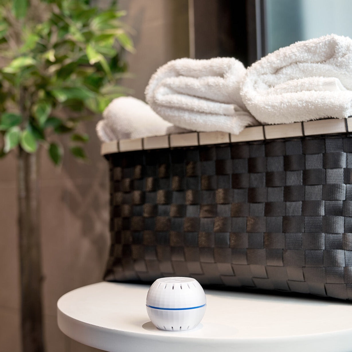 Shelly Humidity Temp Sensor | Shelly Switches – BLUi Security Australia