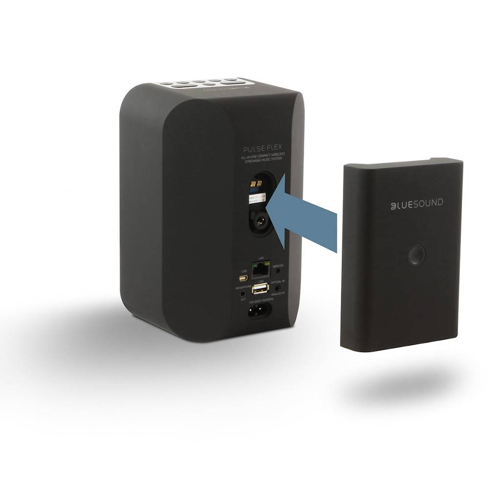 Bluesound Pulse Flex Battery Pack: Wireless Freedom – BLUi Security ...