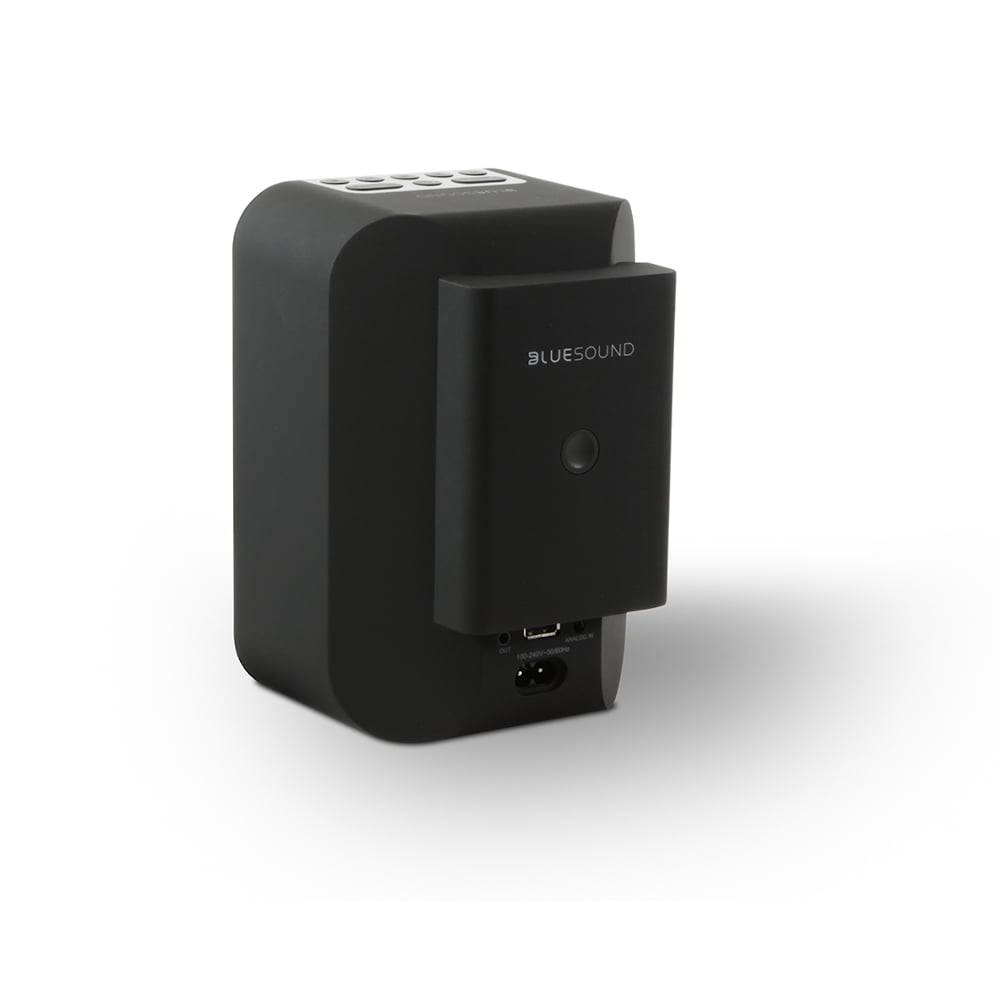 Bluesound Pulse Flex Battery Pack: Wireless Freedom – BLUi Security ...